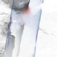 Simonetta V. – L'Amomon Innommable